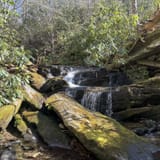 Spence Ridge Trail, North Carolina - 321 Reviews, Map | AllTrails