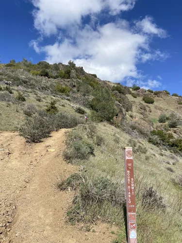 Best Camping Trails in Mount Diablo State Park | AllTrails