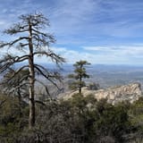 Mount Kimball via Finger Rock Trail #42 and Pima Canyon Trail #62 ...