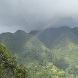 Manoa Cliff Trail, Oahu, Hawaii - 803 Reviews, Map | AllTrails