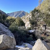 Johnsondale Bridge River Trail, California - 722 Reviews, Map | AllTrails