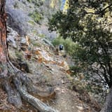 Johnsondale Bridge River Trail, California - 722 Reviews, Map | AllTrails