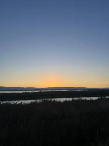 Best Hikes and Trails in Alviso Marina County Park | AllTrails