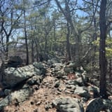 Buzzard Rock, Virginia - 1,599 Reviews, Map | AllTrails