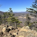 Buzzard Rock, Virginia - 1,599 Reviews, Map | AllTrails