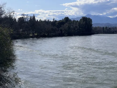 Best Hikes and Trails in Turtle Bay Exploration Park | AllTrails