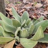 Sharps Ridge Loop Trail, Tennessee - 940 Reviews, Map | AllTrails