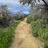 Temescal Canyon Trail, California - 9,779 Reviews, Map | AllTrails