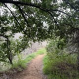 Temescal Canyon Trail, California - 9,779 Reviews, Map | AllTrails
