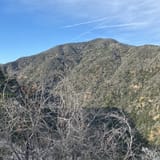 Temescal Canyon Trail, California - 9,779 Reviews, Map | AllTrails