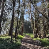 San Simeon Bay Trail, California - 1,193 Reviews, Map | AllTrails