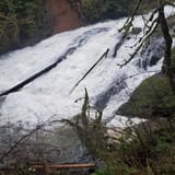 Lake to Lake Trail Loop via Lacamas Creek, Washington - 2,040 Reviews ...