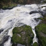 Lake to Lake Trail Loop via Lacamas Creek, Washington - 2,040 Reviews ...