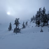 Heather Meadows and Artists Point Trail, Washington - 828 Reviews, Map ...