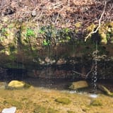 Dripping Rock Falls, Utah - 743 Reviews, Map | AllTrails