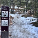Mount Muscoco Trail, Colorado - 3,692 Reviews, Map | AllTrails