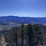 Pinnacle Mountain Fire Tower Trail, Tennessee - 985 Reviews, Map ...