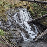 Mima Falls East Trail, Washington - 1,758 Reviews, Map | AllTrails