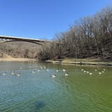Schenley Park Double Loop, Pennsylvania - 1,091 Reviews, Map | AllTrails