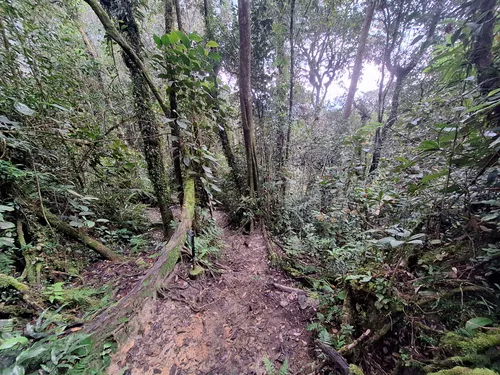 Best Camping Trails in Ulu Kinta | AllTrails