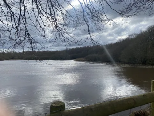 Best Moderate Trails in Ashtead Common National Nature Reserve | AllTrails