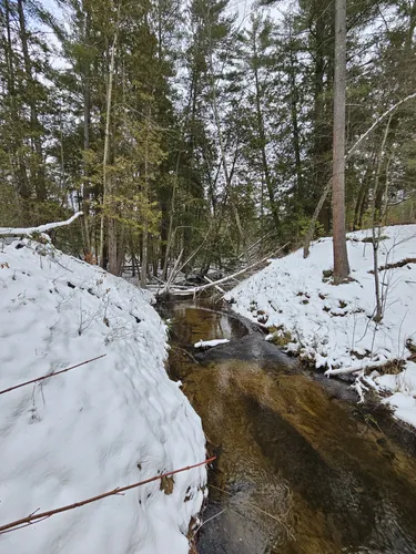 Best Walking Trails in White Cloud | AllTrails