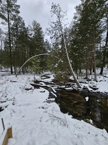 Best Walking Trails in White Cloud | AllTrails