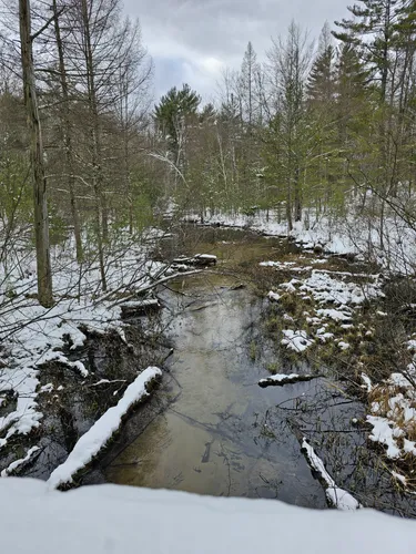 Best Walking Trails in White Cloud | AllTrails