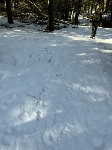 Best Hikes and Trails in Distant Hill Nature Trail | AllTrails