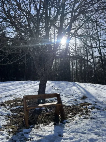 Best Hikes and Trails in Distant Hill Nature Trail | AllTrails