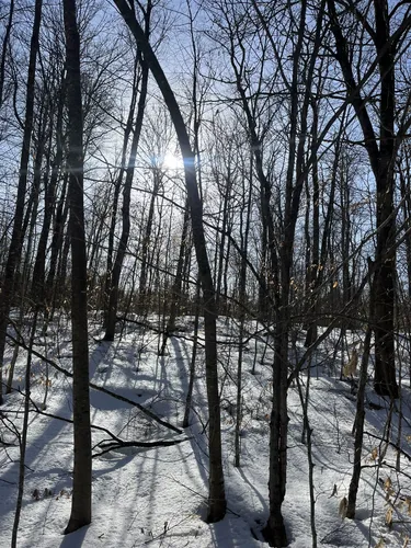 Best Hikes and Trails in Distant Hill Nature Trail | AllTrails