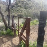 Picketpost Loop via Arizona Trail and L.O.S.T Trail, Arizona - 1,445 ...