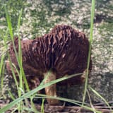 Dave Moore Nature Trail, California - 391 Reviews, Map | AllTrails