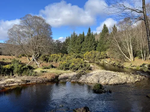 Best Hikes and Trails in Glencullen Adventure Park | AllTrails