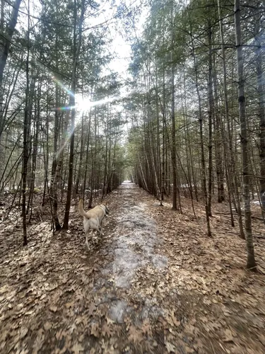 Best Hikes and Trails in Rachel Carson National Wildlife Refuge | AllTrails