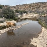 Devil's Canyon Trail, Arizona - 170 Reviews, Map | AllTrails