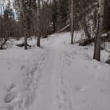 North Fork Big Thompson River Trail Via Dunraven Trailhead, Colorado ...