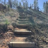 Torreya Trail, Florida - 438 Reviews, Map | AllTrails