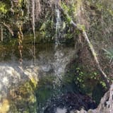 Torreya Trail, Florida - 438 Reviews, Map | AllTrails