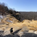 Effigy Tumuli Trail, Illinois - 165 Reviews, Map | AllTrails