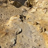 Effigy Tumuli Trail, Illinois - 165 Reviews, Map | AllTrails