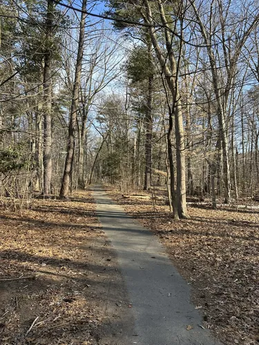 Best Hikes and Trails in Springfield | AllTrails