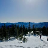 Mount Crawford via Davis Path Trail, New Hampshire - 986 Reviews, Map ...