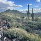 Clay Mine Trail, Arizona - 416 Reviews, Map | AllTrails