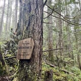 Duckabush River Trail to Five Mile Camp, Washington - 882 Reviews, Map ...