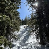 Chief Mountain Trail, Colorado - 8,325 Reviews, Map | AllTrails