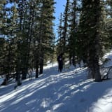Chief Mountain Trail, Colorado - 8,325 Reviews, Map | AllTrails