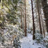 Ira Spring Memorial Trail, Washington - 1,984 Reviews, Map | AllTrails