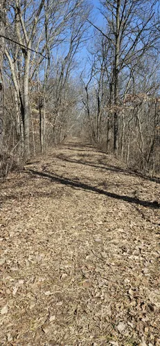 Best Hikes and Trails in Shimek State Forest | AllTrails