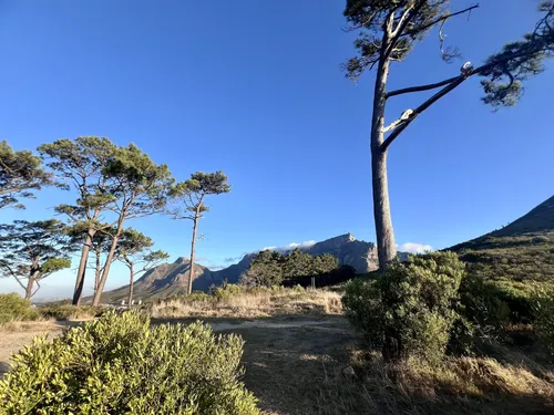 10 Best Kid Friendly Trails in Cape Town | AllTrails